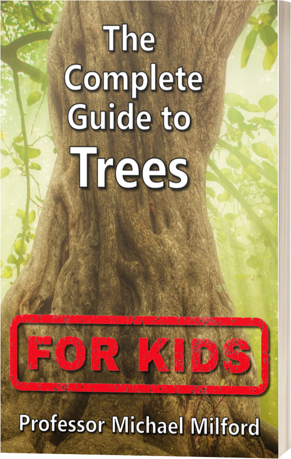 The Complete Guide to Trees for Kids – Math Thrills